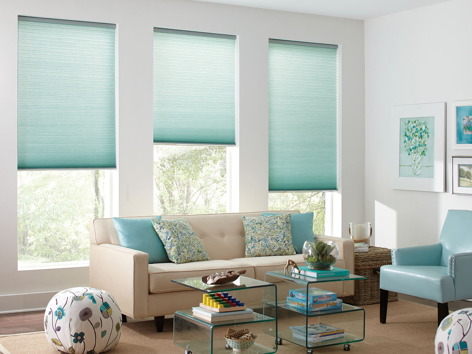 Window Blinds & Shades Photo Gallery | The Yardstick